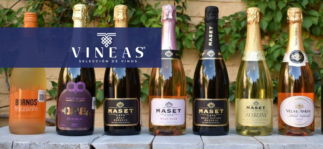 BODAS EN QUERÉTARO – Hagamos la boda de tus sueños…